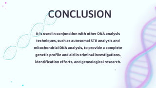 YSTR (Forensic Biology and genetics). ppt | PPTX