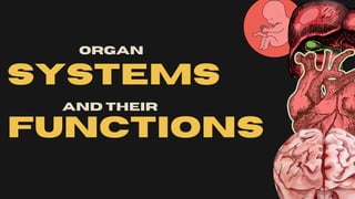 Organ Systems and Their Functions, General Biology Second Sem SHS | PDF