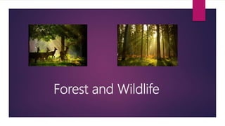 Forest and Wildlife | PPTX