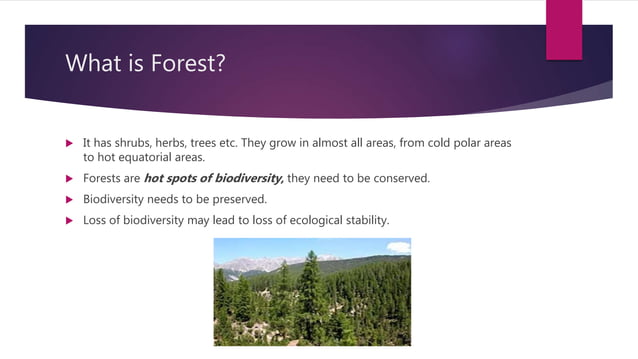 Forest and Wildlife | PPTX