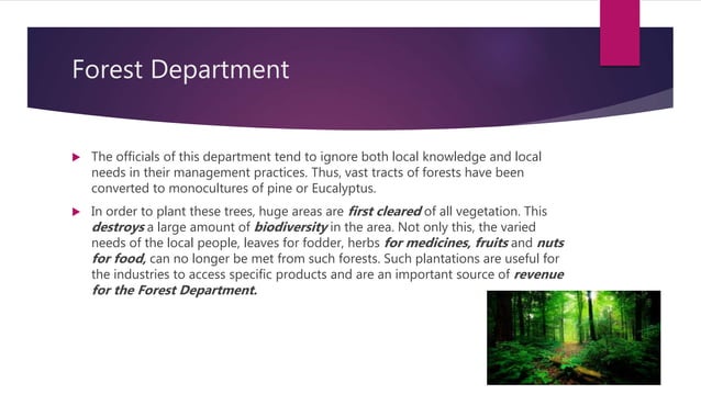 Forest and Wildlife | PPTX