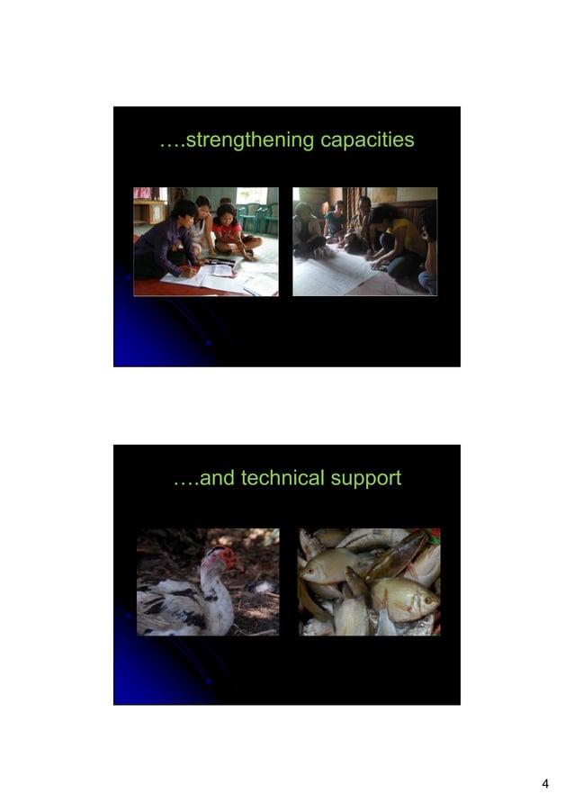 Yts profile 2010 (e) | PDF