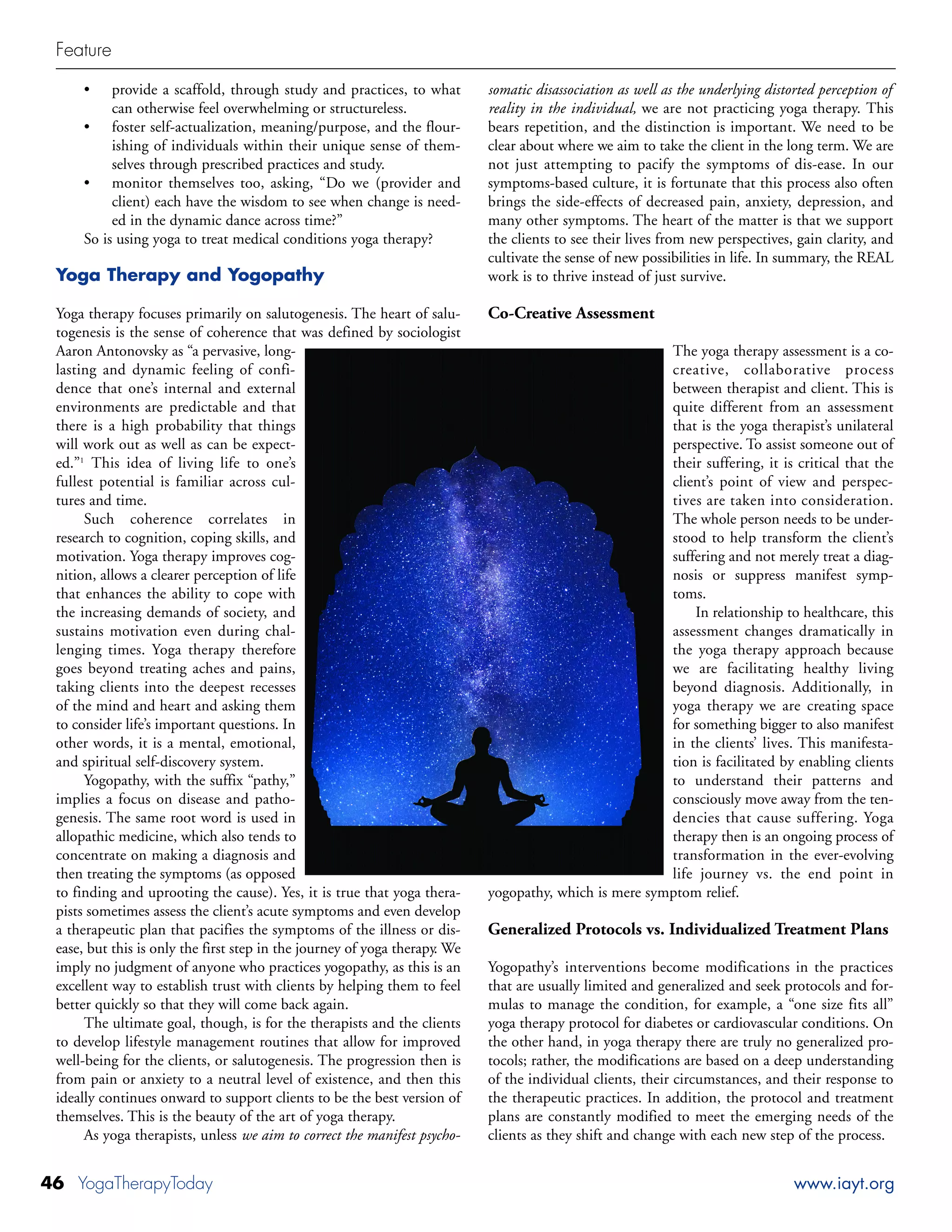 Shared Foundations for Practice: The Language of Yoga Therapy | PDF