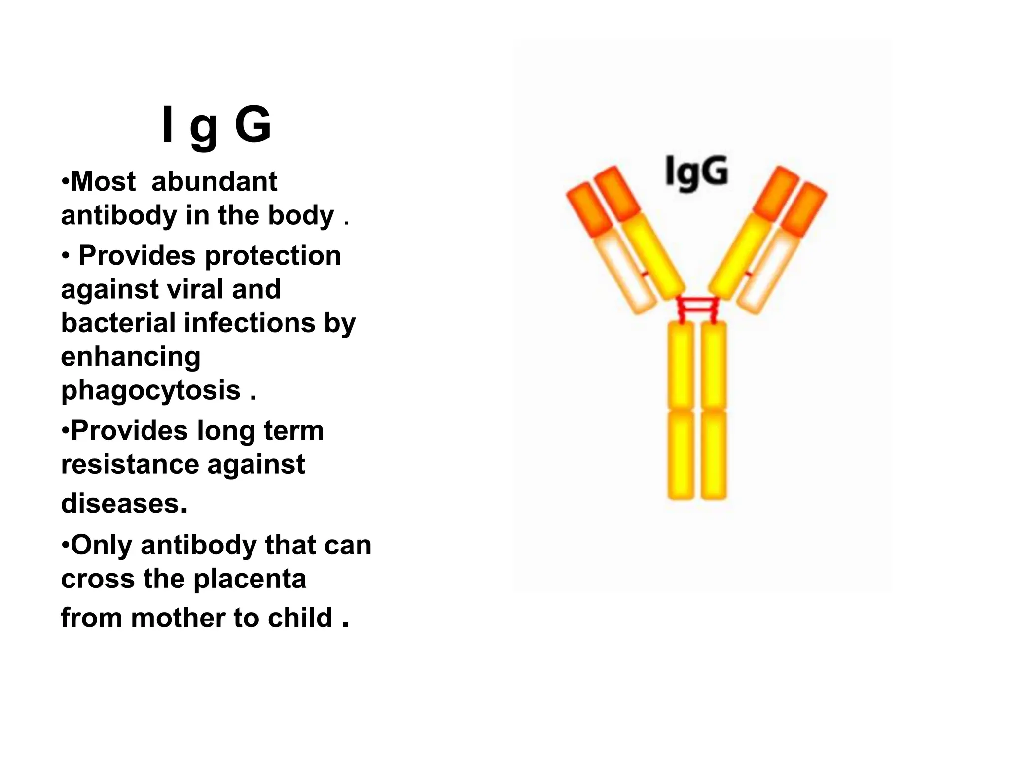 Structure of antibody molecule and types | PPTX