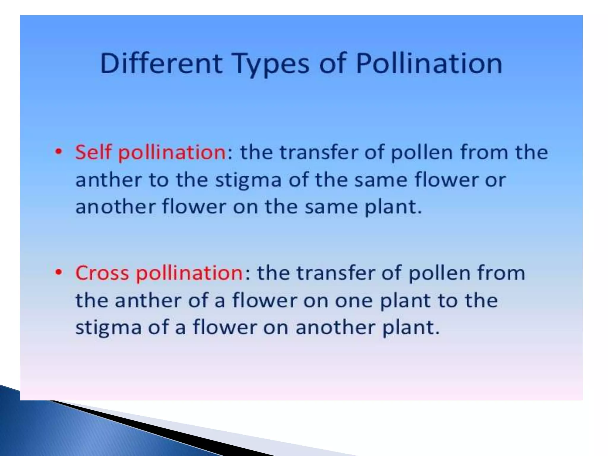 type of pollination AND GERMINATION | PPT