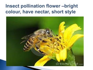 type of pollination AND GERMINATION | PPTX