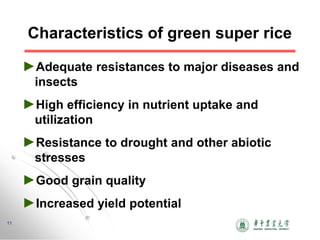 " Resource use efficiency in crops: “Green super rice” to increase ...