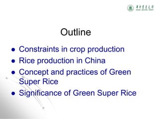 " Resource use efficiency in crops: “Green super rice” to increase ...