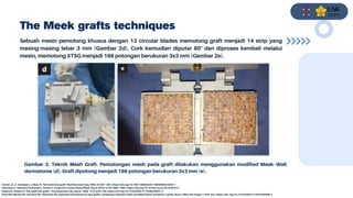 YUD Burn 2 Meek micrografting history, indications, technique ...