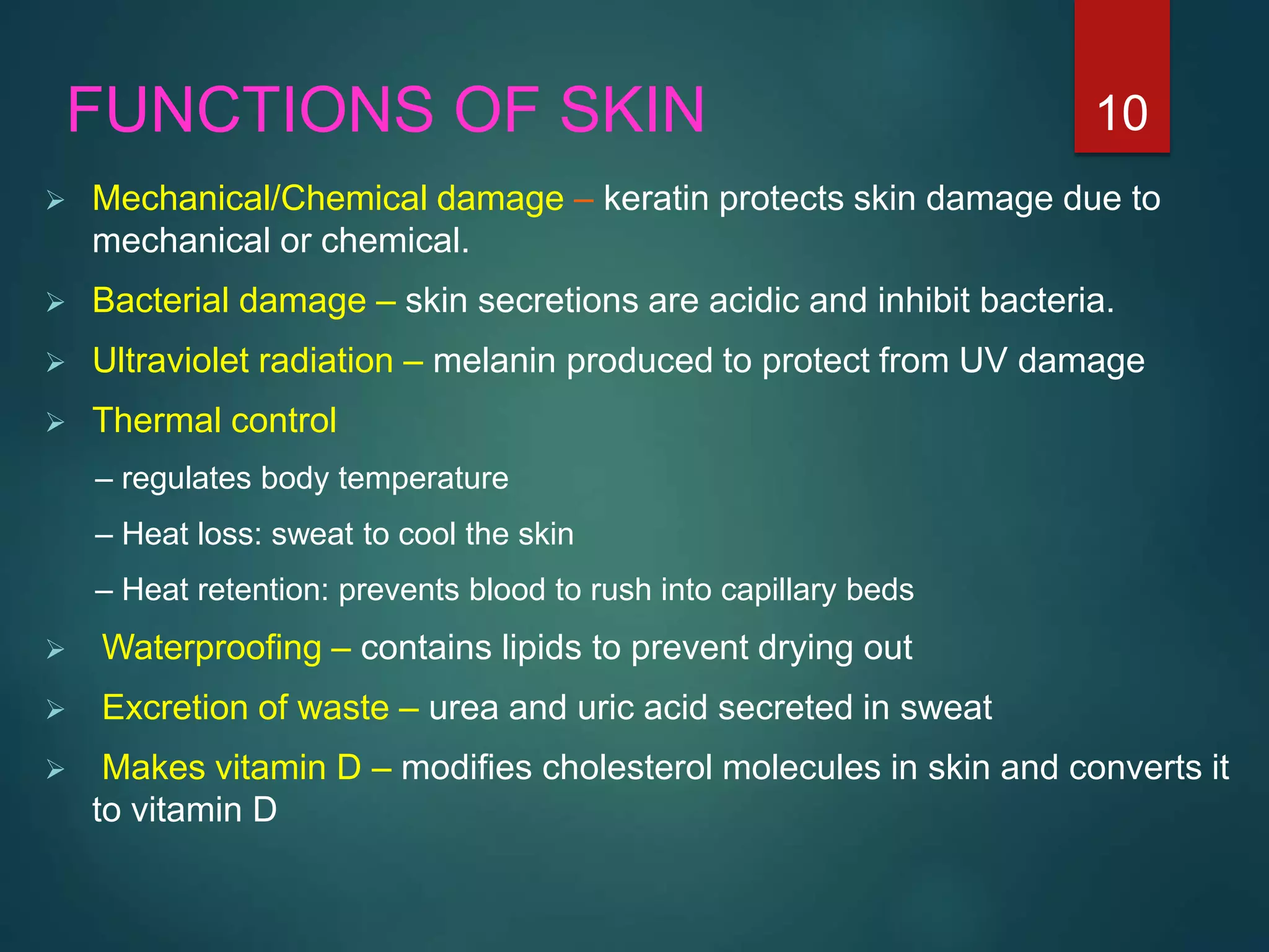 PHYSIOLOGY OF SKIN AND COSMETICS | PPTX