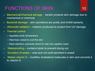 PHYSIOLOGY OF SKIN AND COSMETICS | PPTX