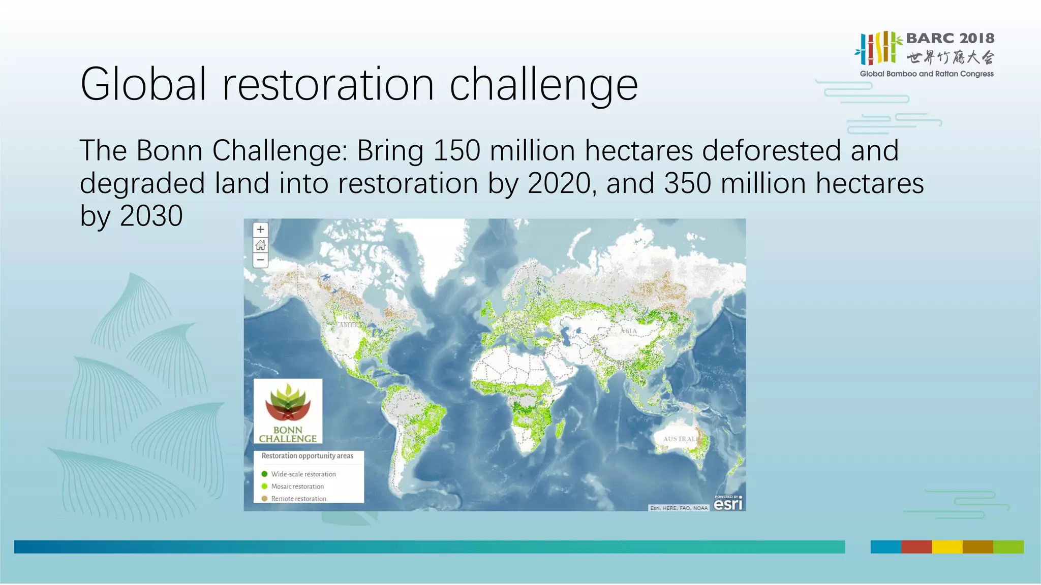 Yugii Niino_Bamboo for land restoration, food security and poverty ...