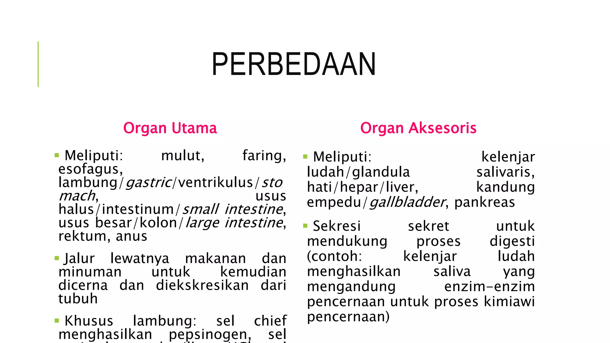 Anatomi Fisiologi Manusia : Sistem Digesti (Pencernaan) | PPTX