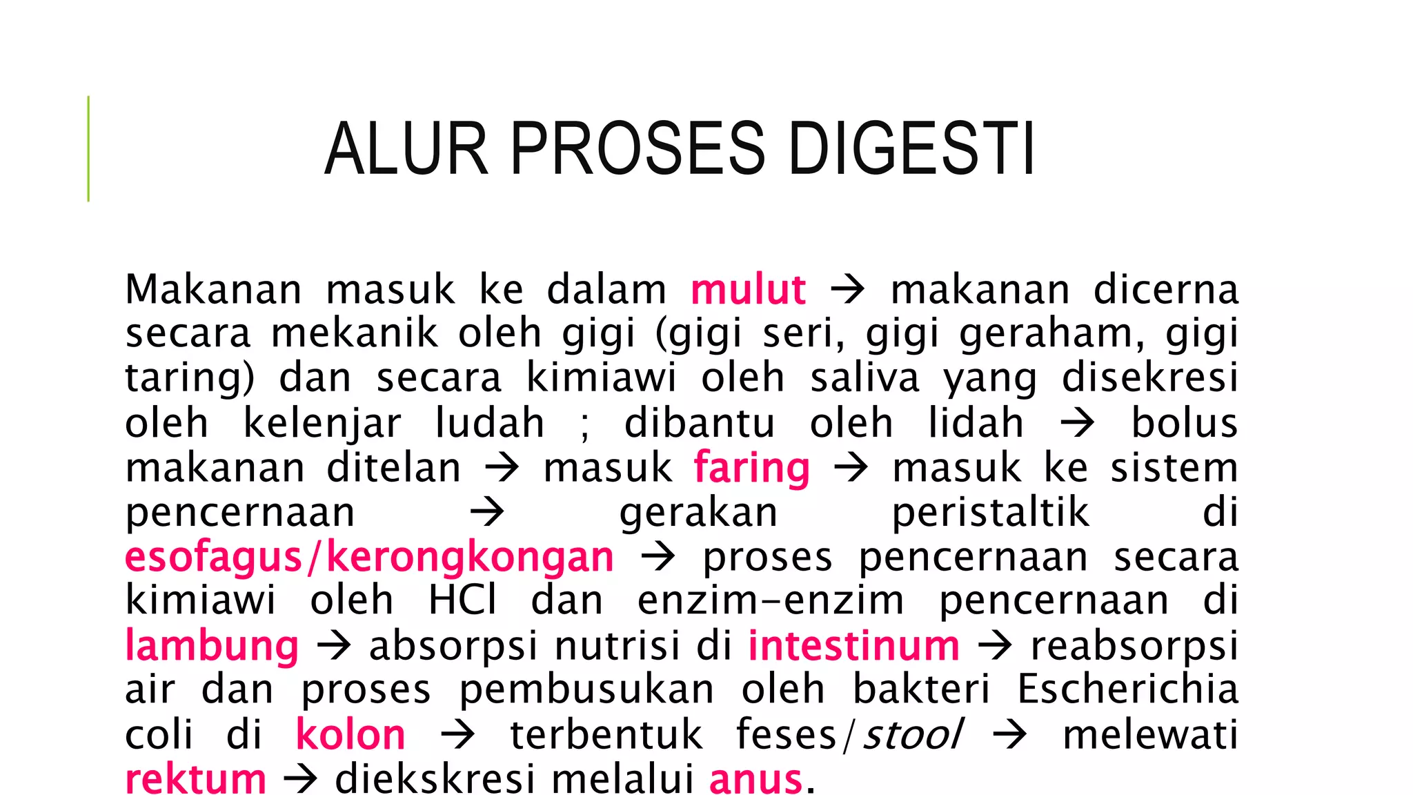 Anatomi Fisiologi Manusia : Sistem Digesti (Pencernaan) | PPTX