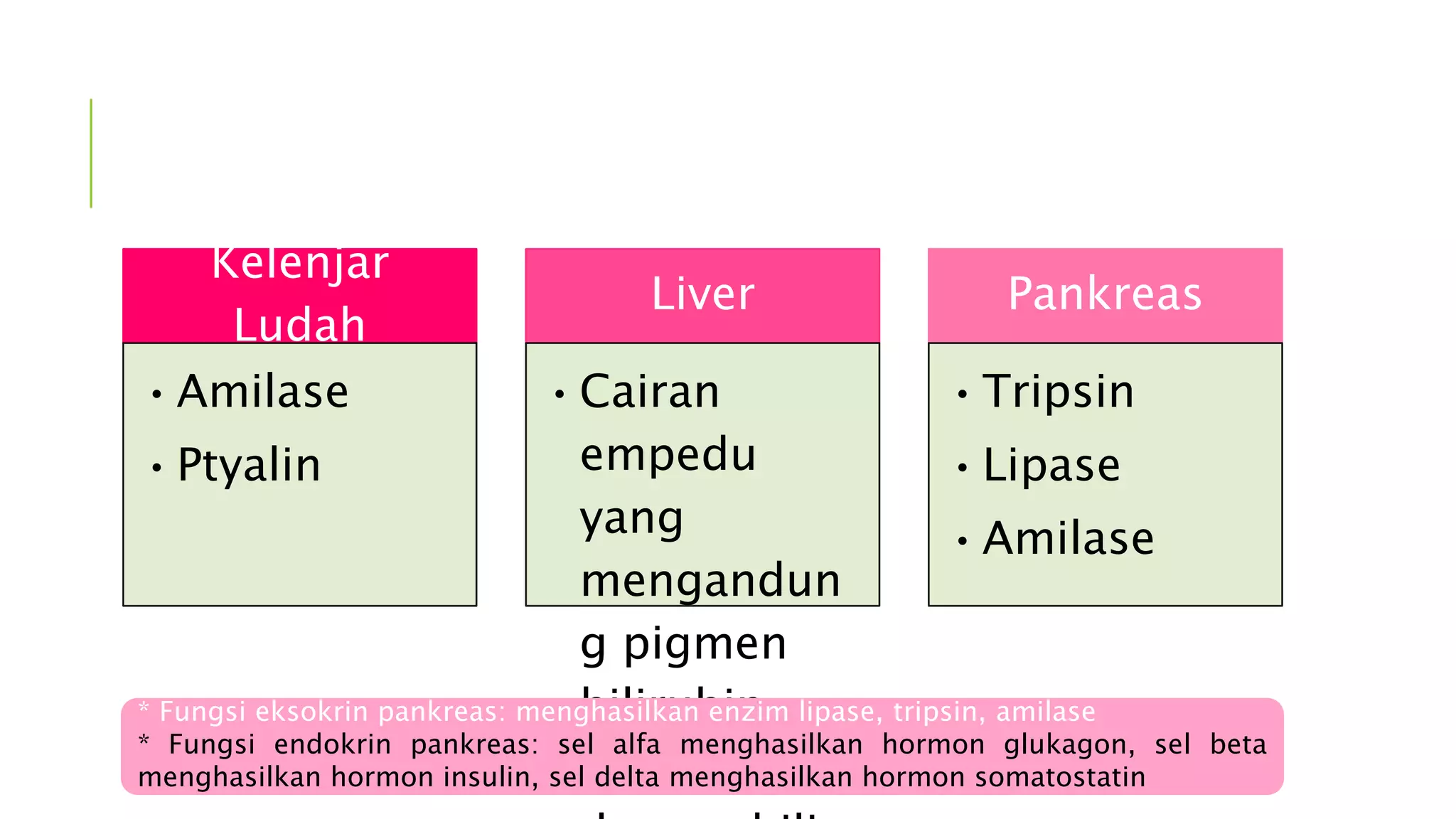 Anatomi Fisiologi Manusia : Sistem Digesti (Pencernaan) | PPTX