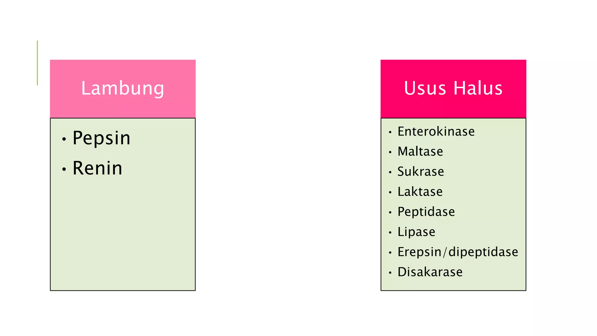 Anatomi Fisiologi Manusia : Sistem Digesti (Pencernaan) | PPTX