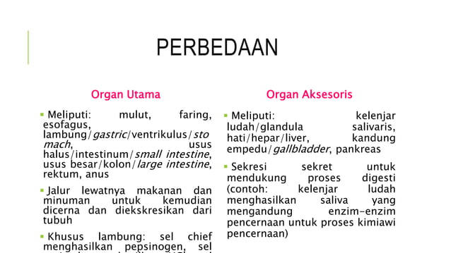 Anatomi Fisiologi Manusia : Sistem Digesti (Pencernaan) | PPTX