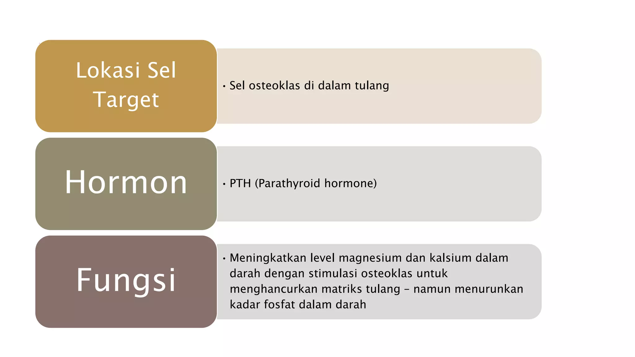 Anatomi Fisiologi Manusia : Sistem Endokrin | PPTX