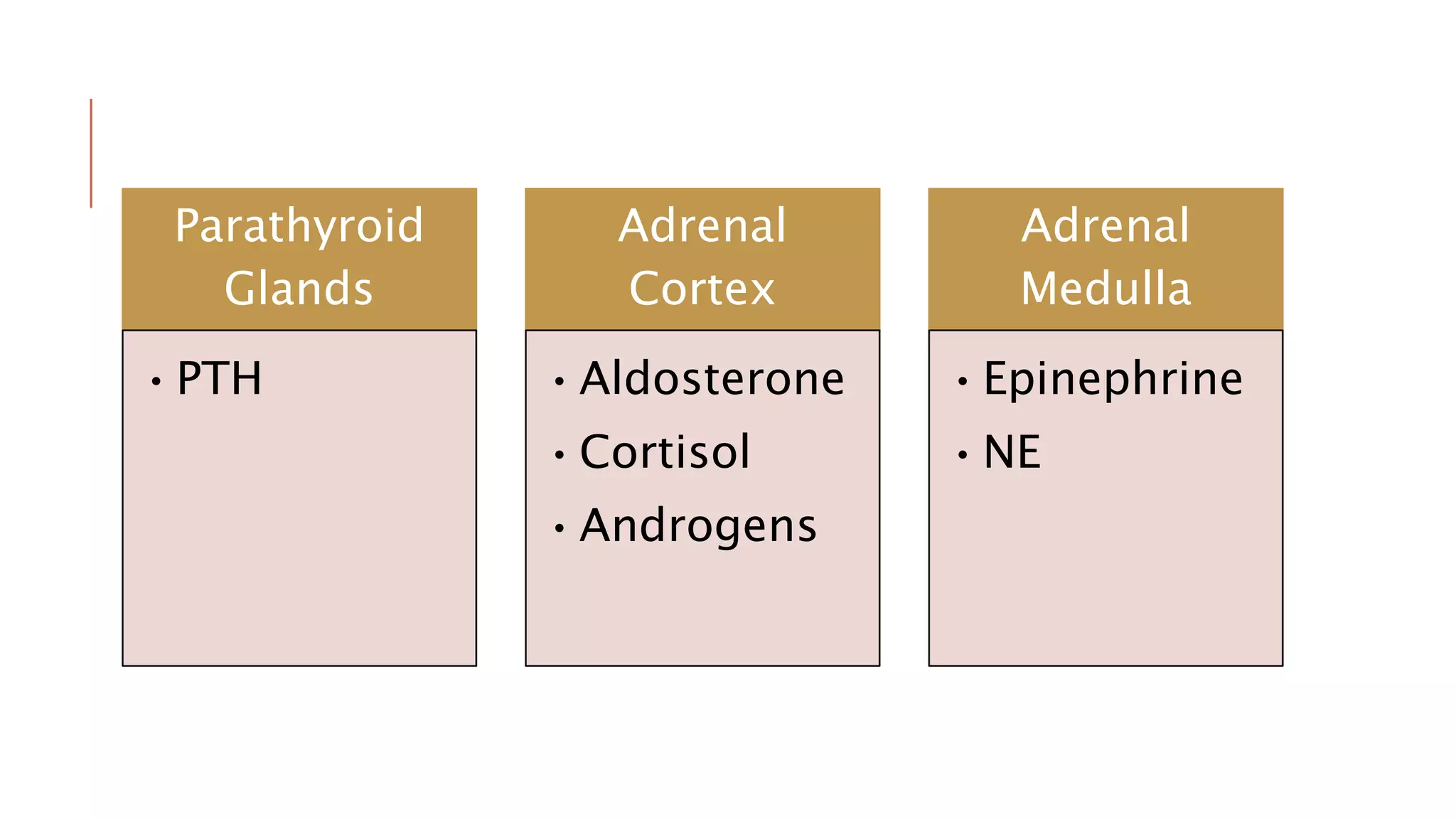 Anatomi Fisiologi Manusia : Sistem Endokrin | PPTX