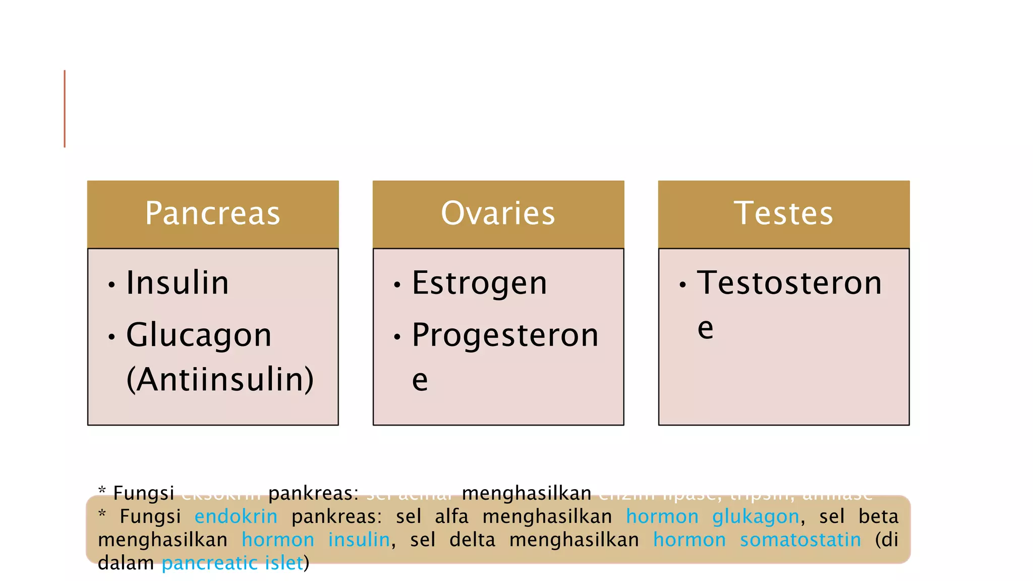 Anatomi Fisiologi Manusia : Sistem Endokrin | PPTX
