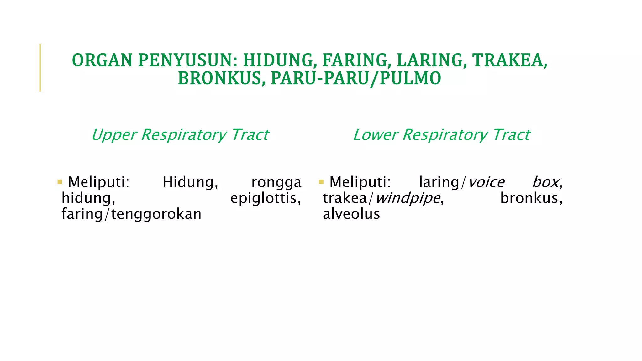 Anatomi Fisiologi Manusia : Sistem Respirasi (Pernapasan) | PPTX