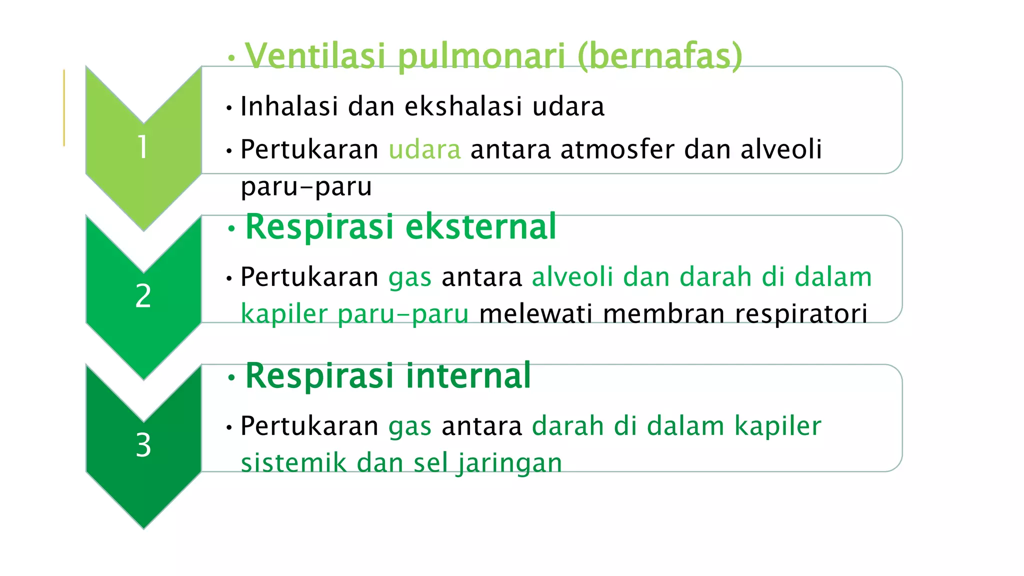 Anatomi Fisiologi Manusia : Sistem Respirasi (Pernapasan) | PPTX