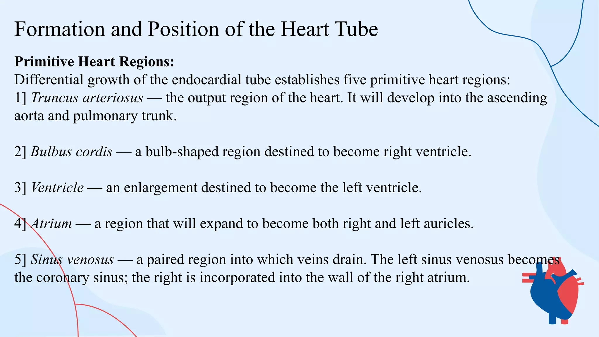 Development of Heart (Embryology) | PPTX