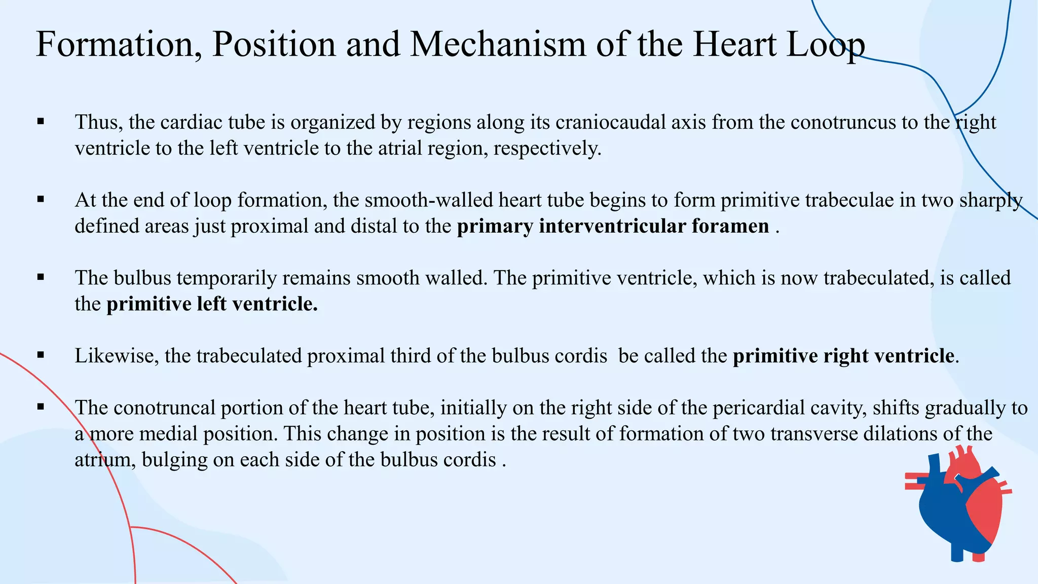 Development of Heart (Embryology) | PPTX