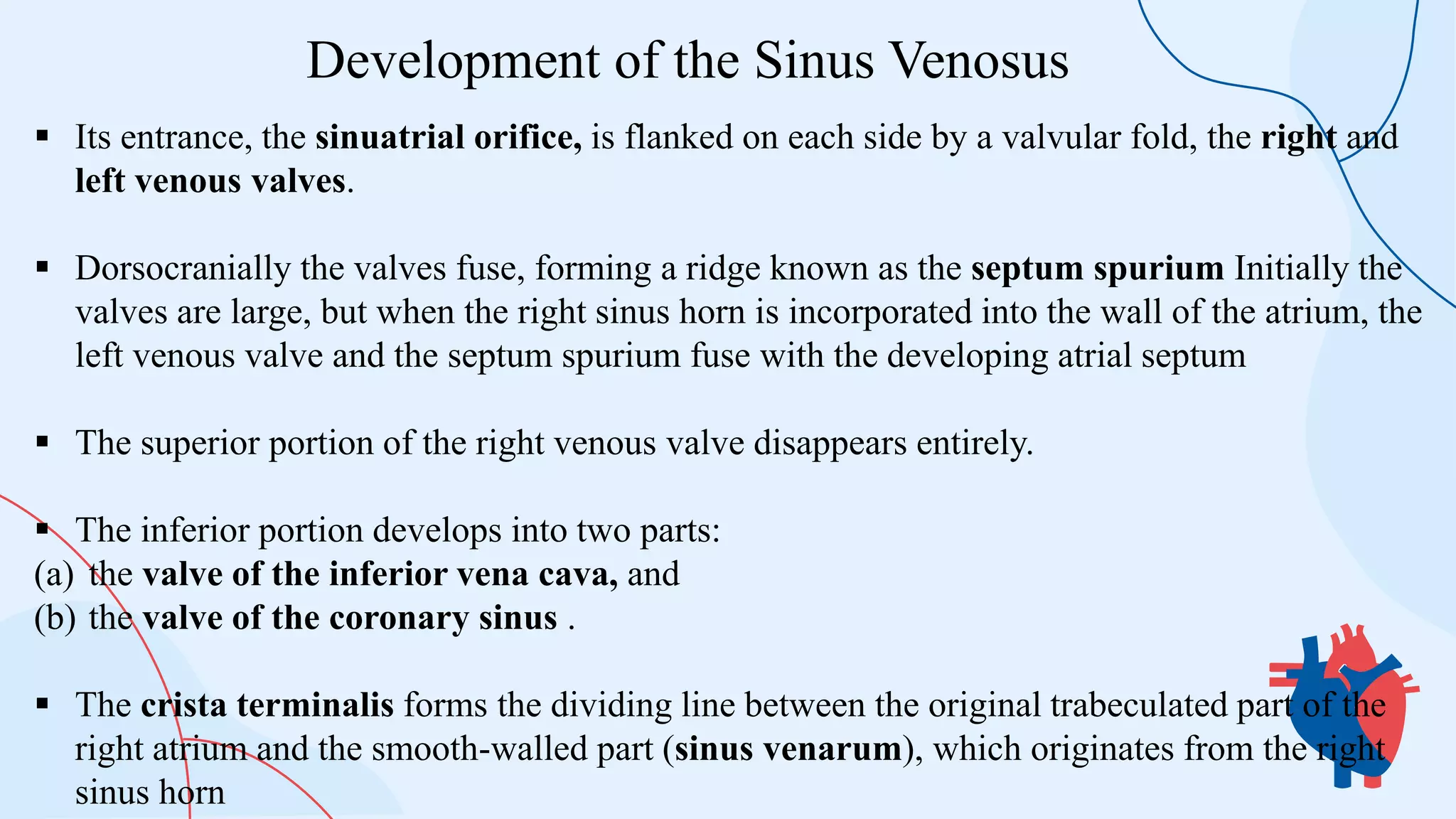 Development of Heart (Embryology) | PPTX