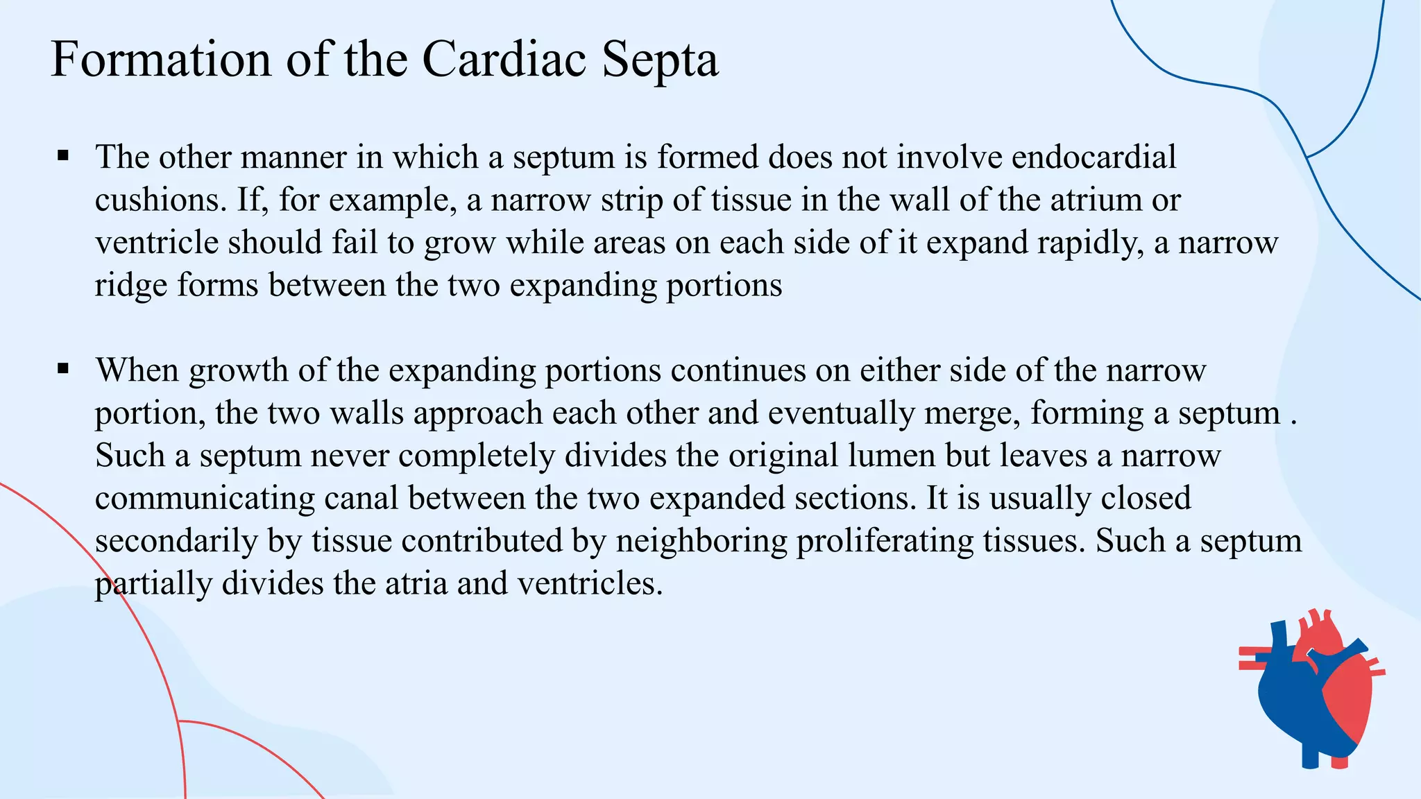 Development of Heart (Embryology) | PPTX