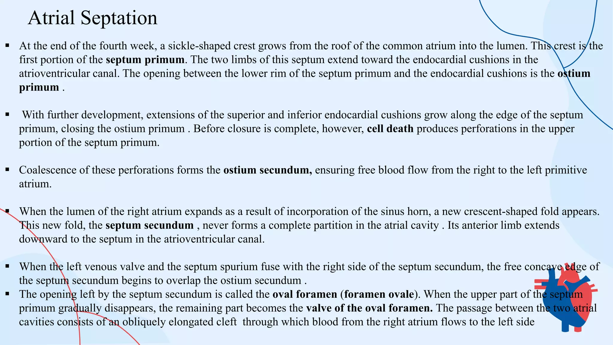 Development of Heart (Embryology) | PPTX