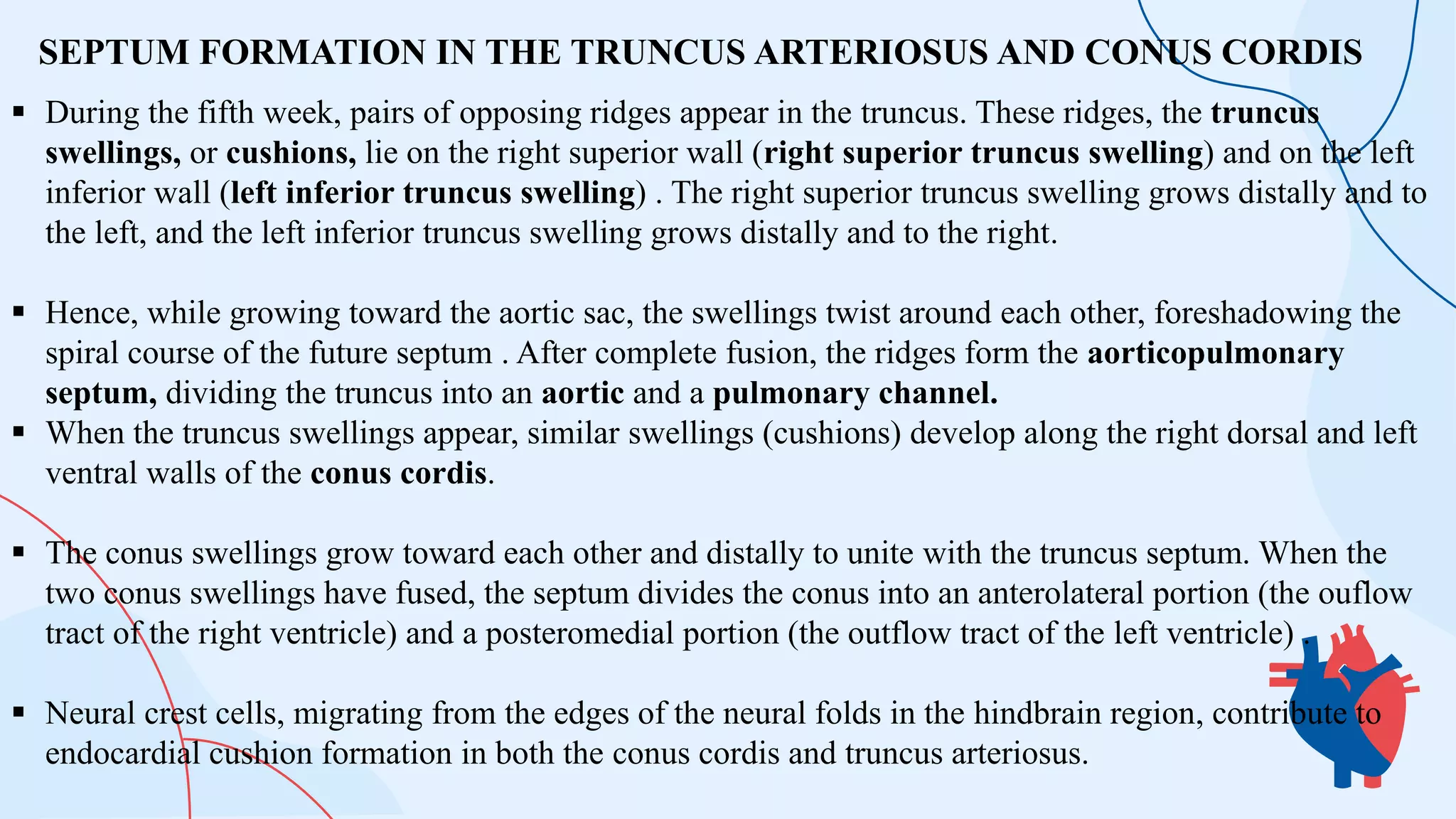 Development of Heart (Embryology) | PPTX