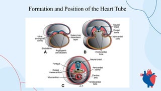 heart yuktawankhede006-220103133857 (1).pdf
