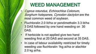 Yukti (AGRONOMY) presentation on soyabean.pptx