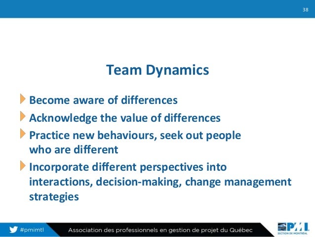 Understanding better your project team dynamics and unlocking their f…