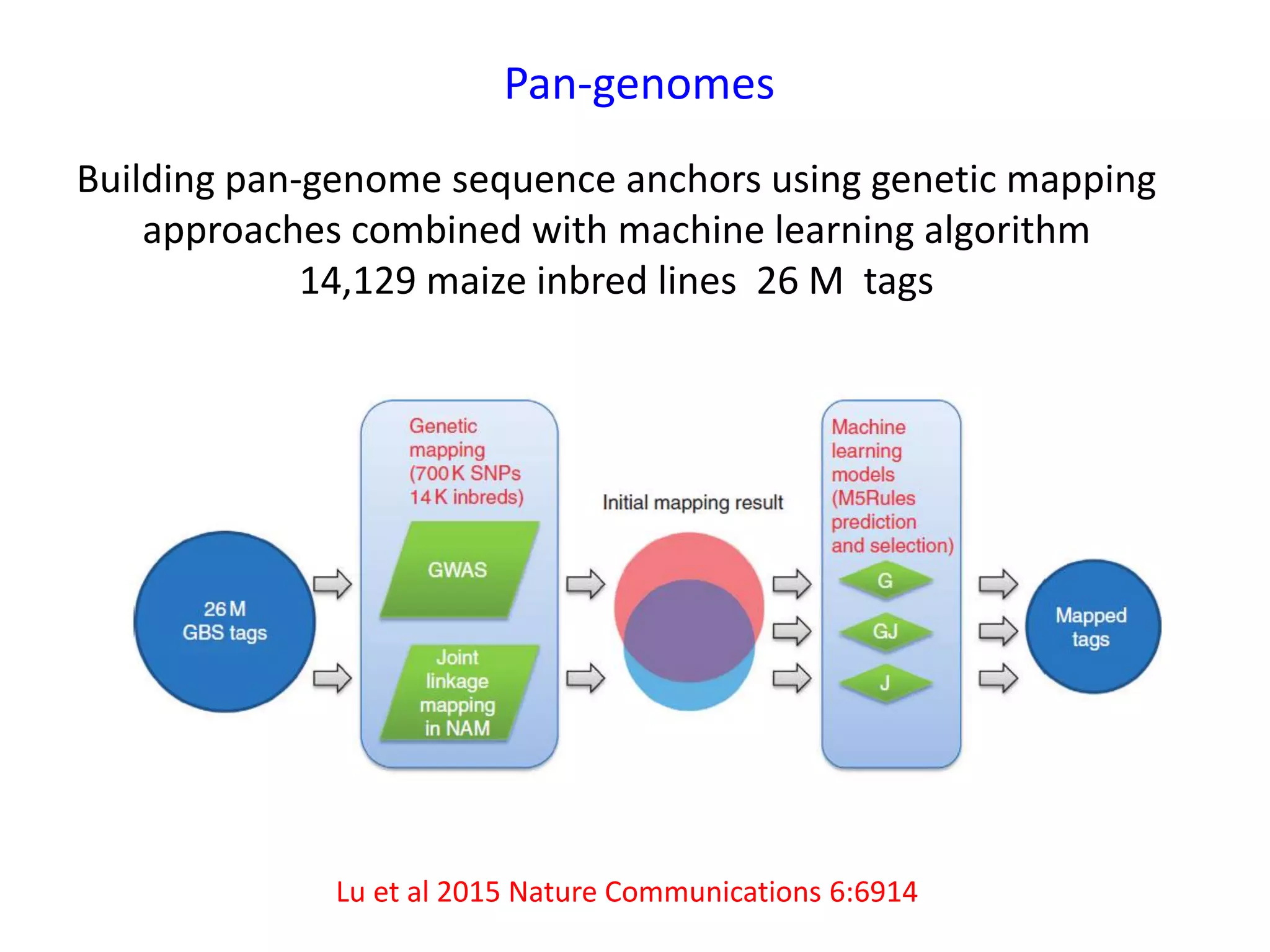 Tropical maize genome: what do we know so far and how to use that ...