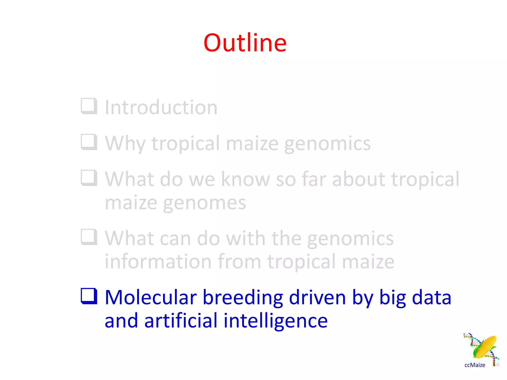 Tropical maize genome: what do we know so far and how to use that ...