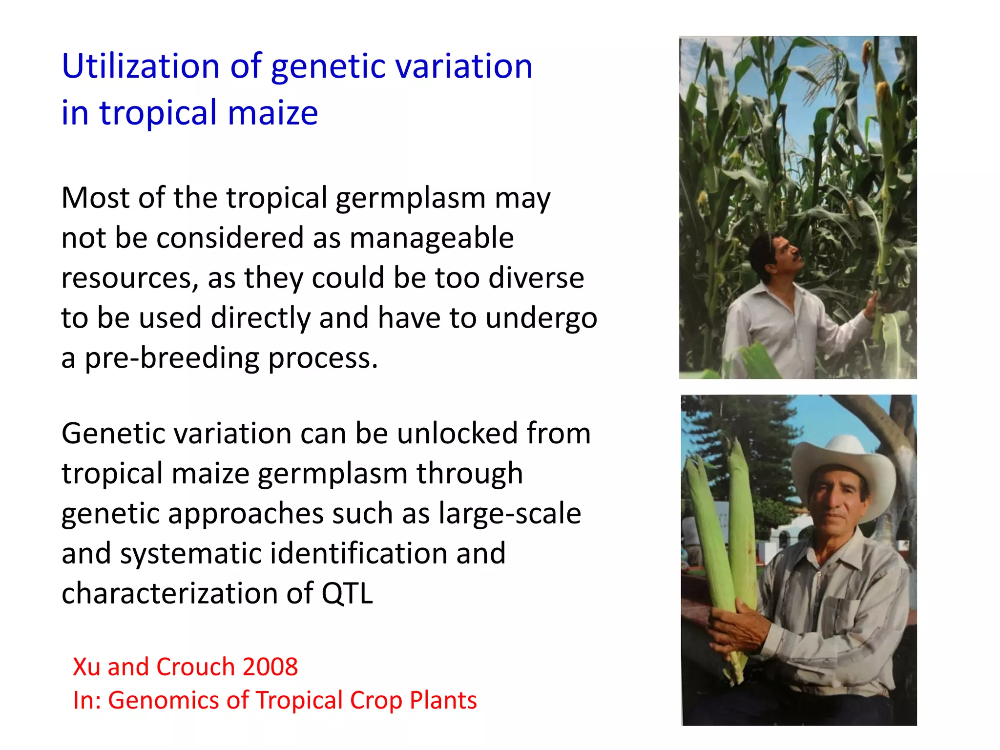 Tropical maize genome: what do we know so far and how to use that ...