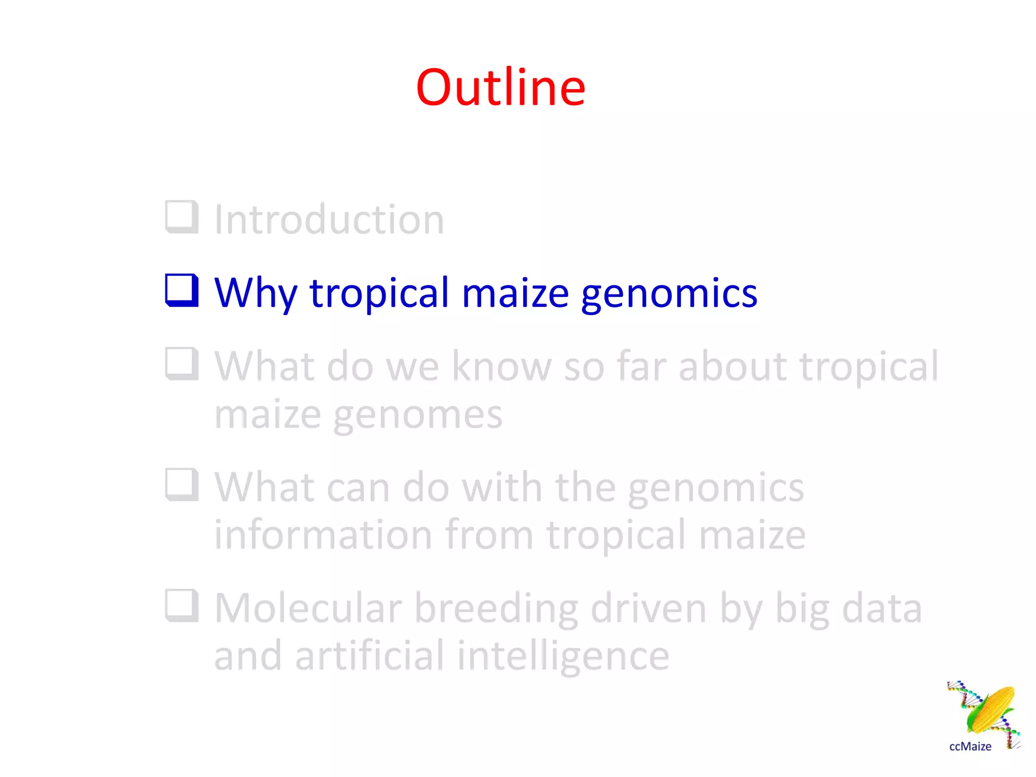 Tropical maize genome: what do we know so far and how to use that ...