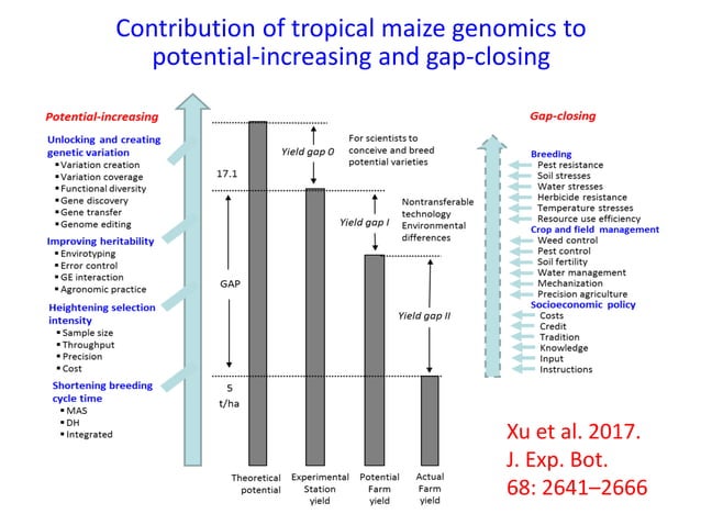 Tropical maize genome: what do we know so far and how to use that ...