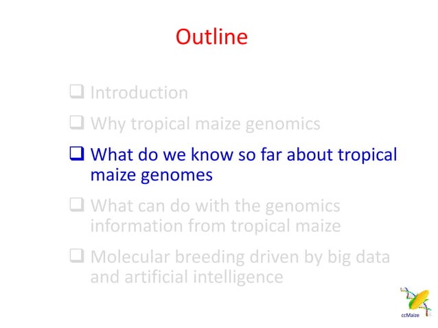 Tropical maize genome: what do we know so far and how to use that ...