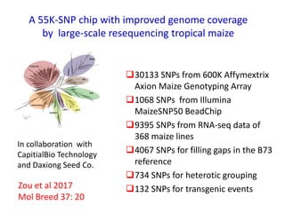 Tropical maize genome: what do we know so far and how to use that ...
