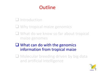 Tropical maize genome: what do we know so far and how to use that ...