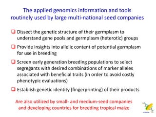 Tropical maize genome: what do we know so far and how to use that ...