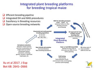 Tropical maize genome: what do we know so far and how to use that ...
