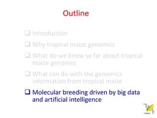 Tropical maize genome: what do we know so far and how to use that ...