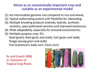 Tropical maize genome: what do we know so far and how to use that ...