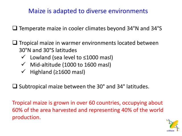 Tropical maize genome: what do we know so far and how to use that ...
