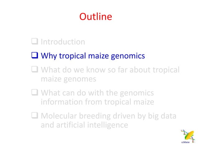 Tropical maize genome: what do we know so far and how to use that ...