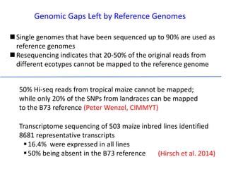 Tropical maize genome: what do we know so far and how to use that ...